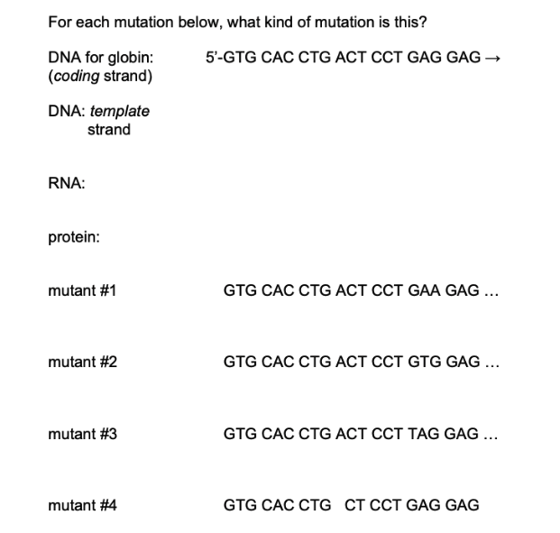 Solved For each mutation below, what kind of mutation is | Chegg.com