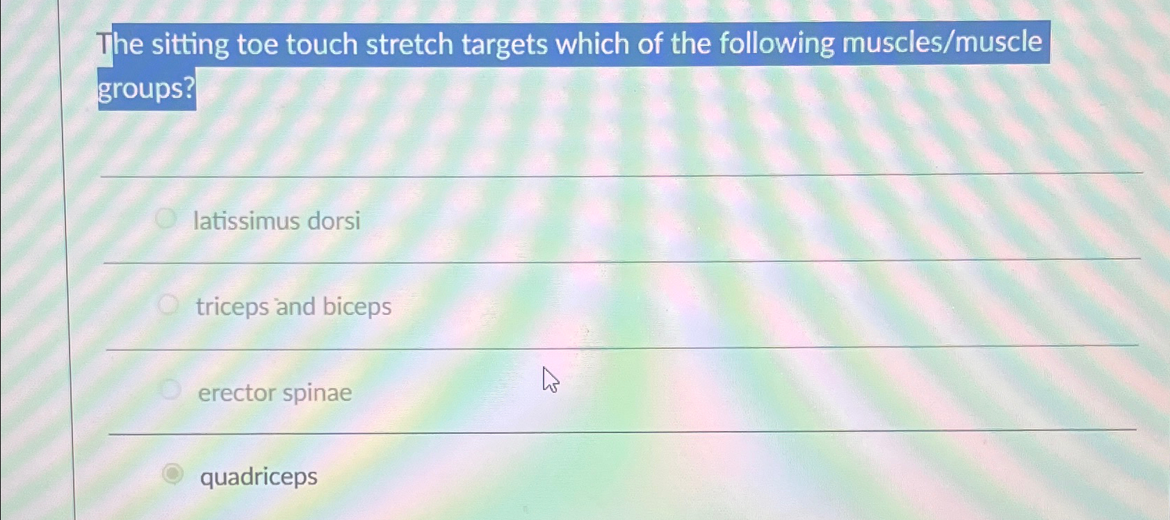 Solved The sitting toe touch stretch targets which of the | Chegg.com