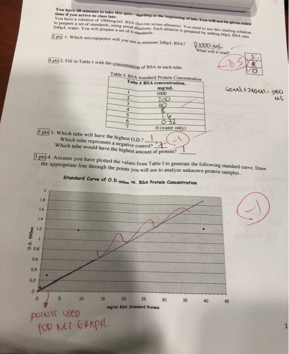 Solved show how to find the concentrations of BSA and the | Chegg.com
