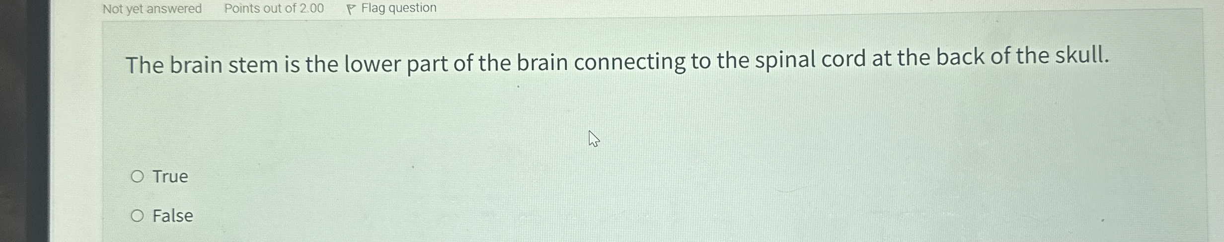 Solved The brain stem is the lower part of the brain | Chegg.com