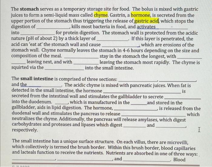 Solved The stomach serves as a temporary storage site for | Chegg.com