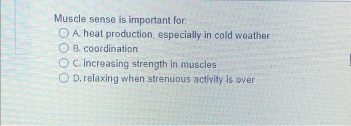 Solved Muscle sense is important for: O A. heat production, | Chegg.com