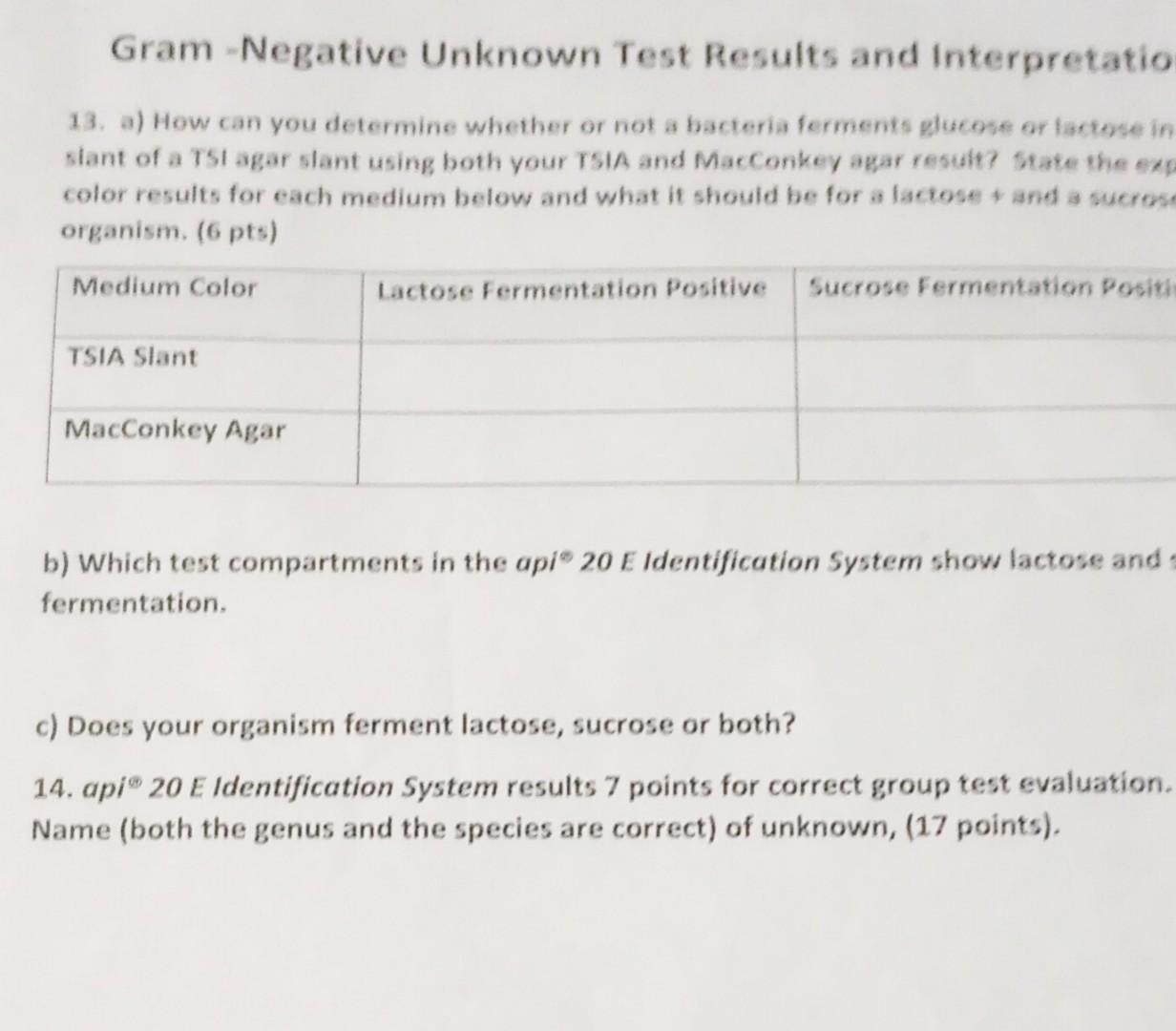 Gram -Negative Unknown Test Results and Interpretatio | Chegg.com