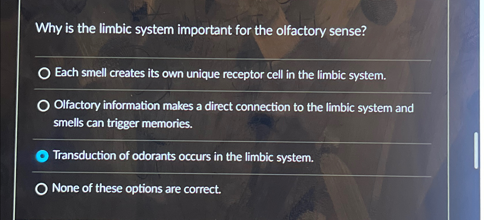 Solved Why is the limbic system important for the olfactory | Chegg.com