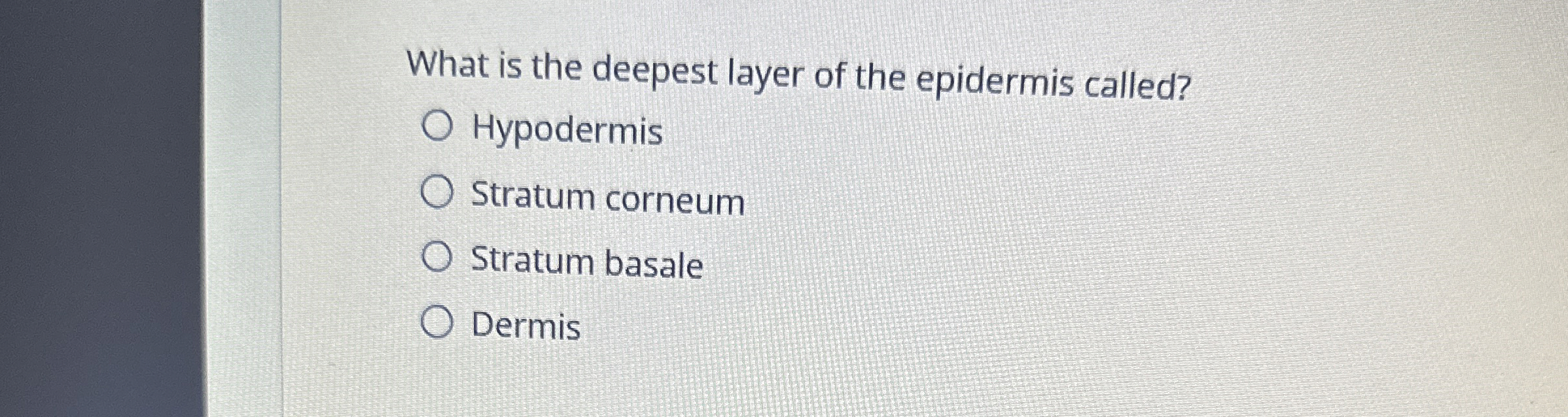 Solved What is the deepest layer of the epidermis | Chegg.com
