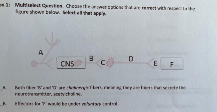 Solved Question 1: Multiselect Question. Choose the answer | Chegg.com