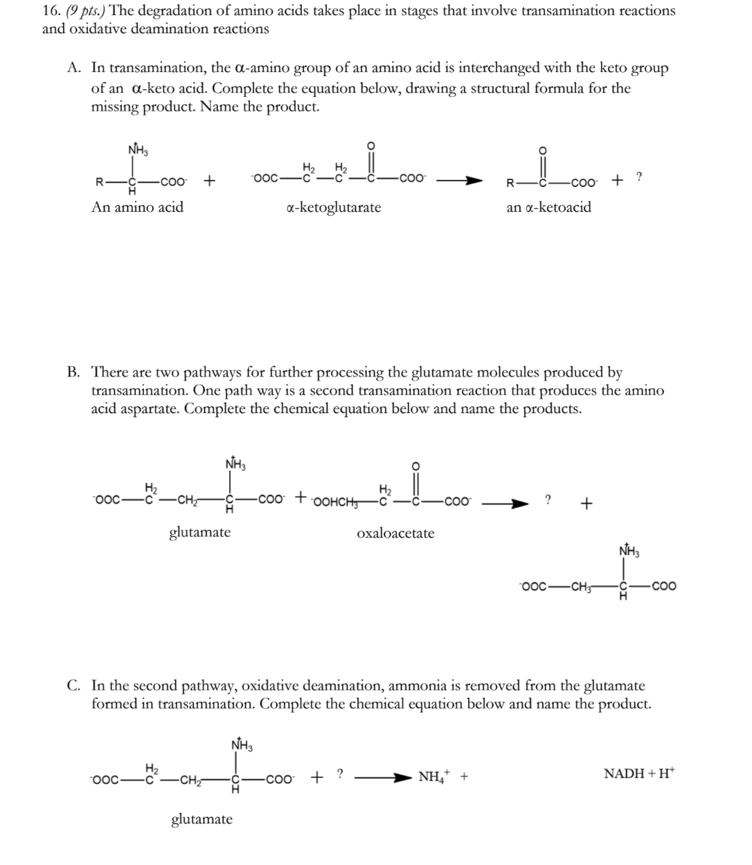 [Solved]: 16. (9 pts.) The degradation of amino acids takes