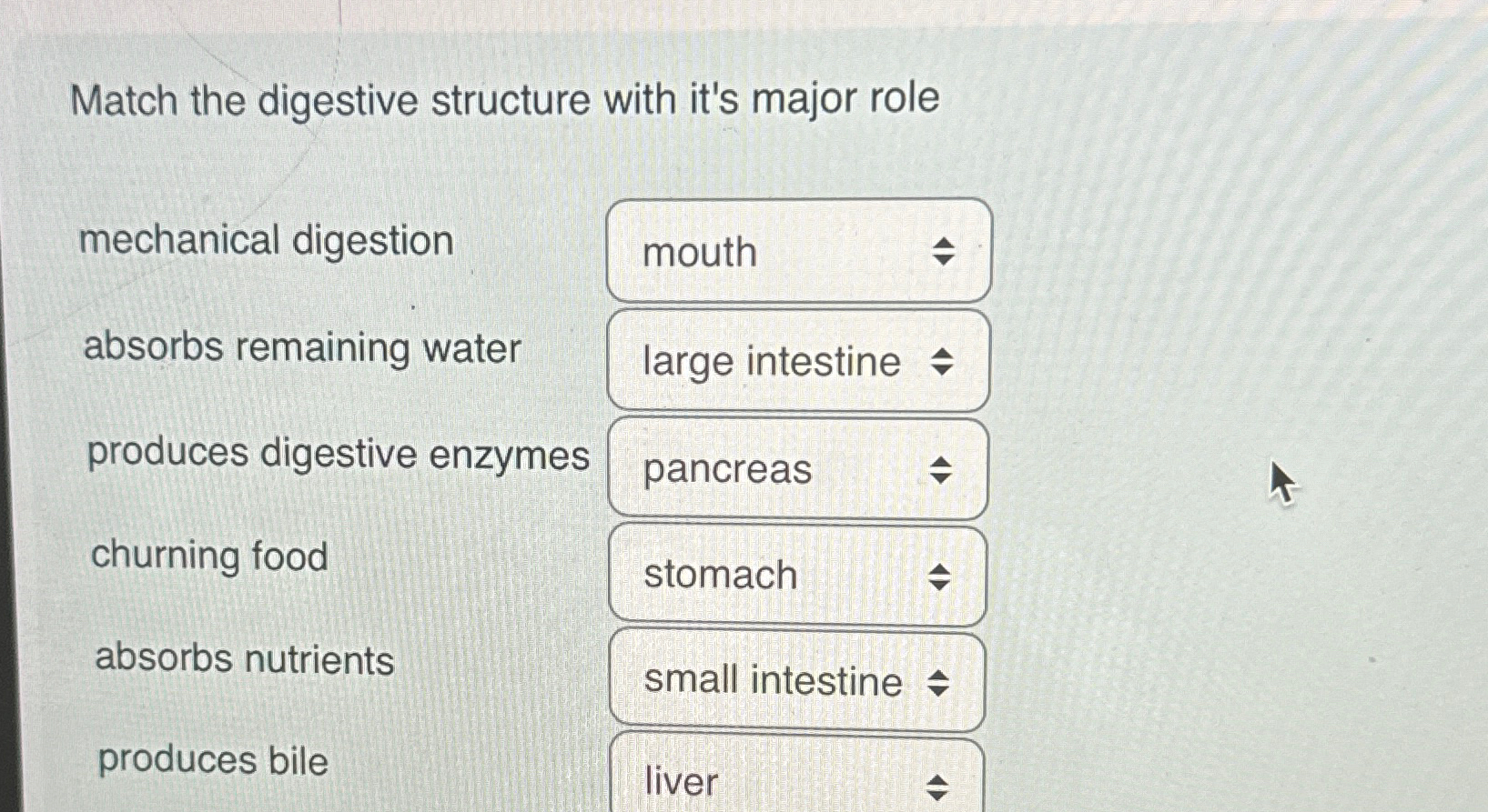 Solved Match the digestive structure with it's major role | Chegg.com