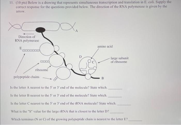 Solved 11. (10pts) Below is a drawing that represents | Chegg.com