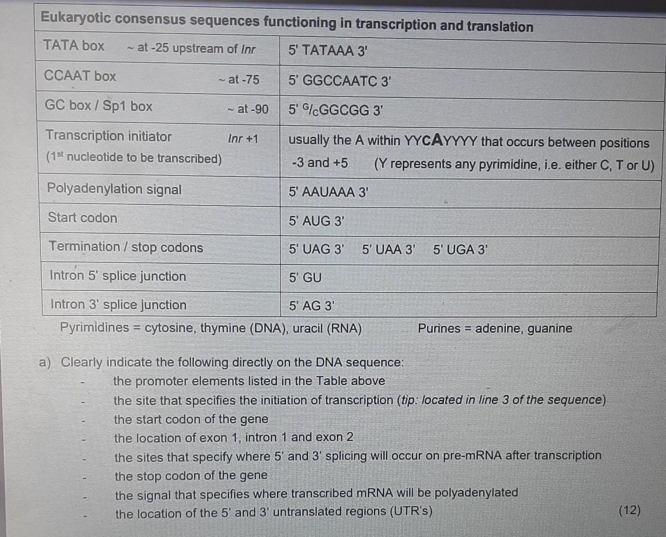 Eukaryotic consensus sequences functioning in | Chegg.com