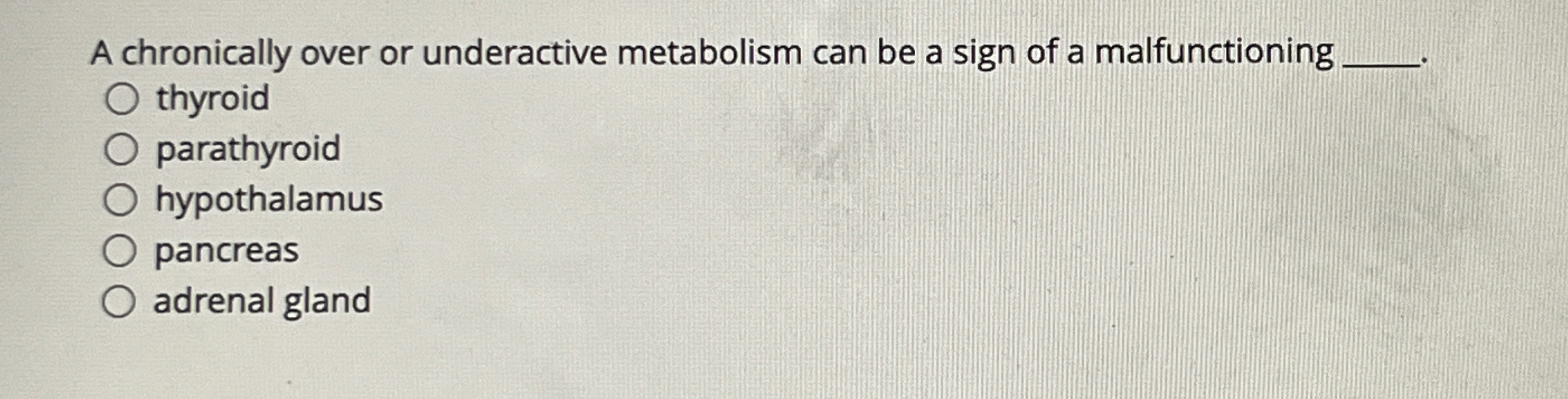 Solved Identify the function of the stomach.Storage of | Chegg.com