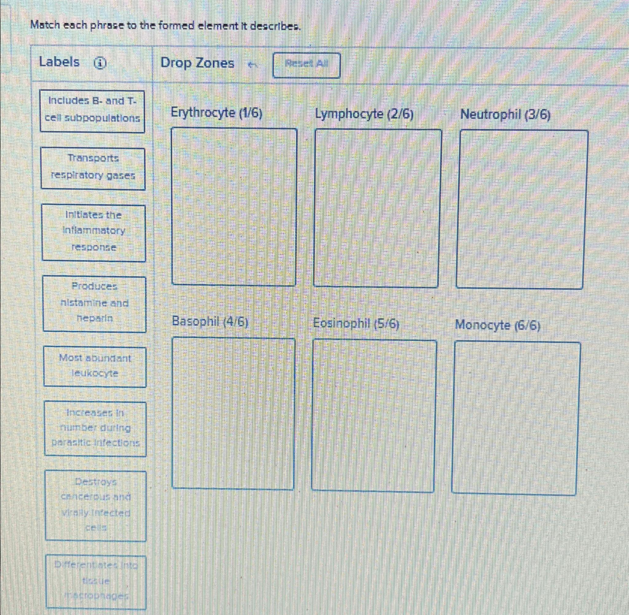 Solved Match each phrose to the formed element it describes. | Chegg.com