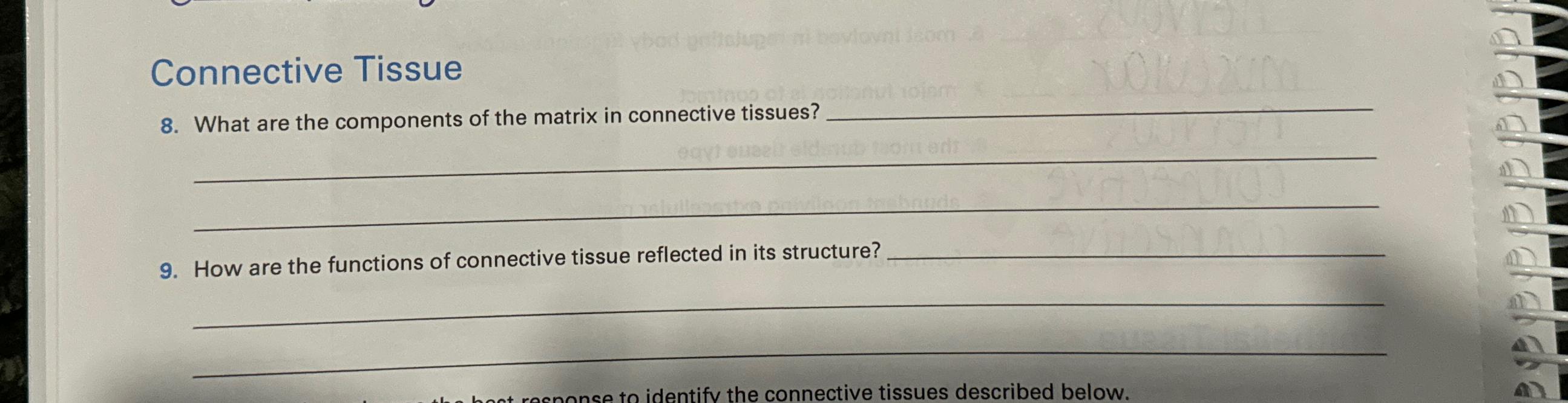 Solved Connective Tissue8. ﻿What are the components of the | Chegg.com