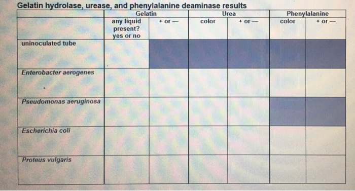 Solved Urease results: PA- Pseudomonas aeruginosa; | Chegg.com