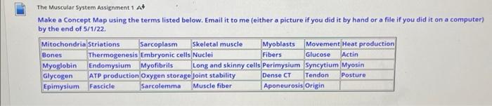 Solved The Muscular System Assignment 1 A+ Make a Concept | Chegg.com