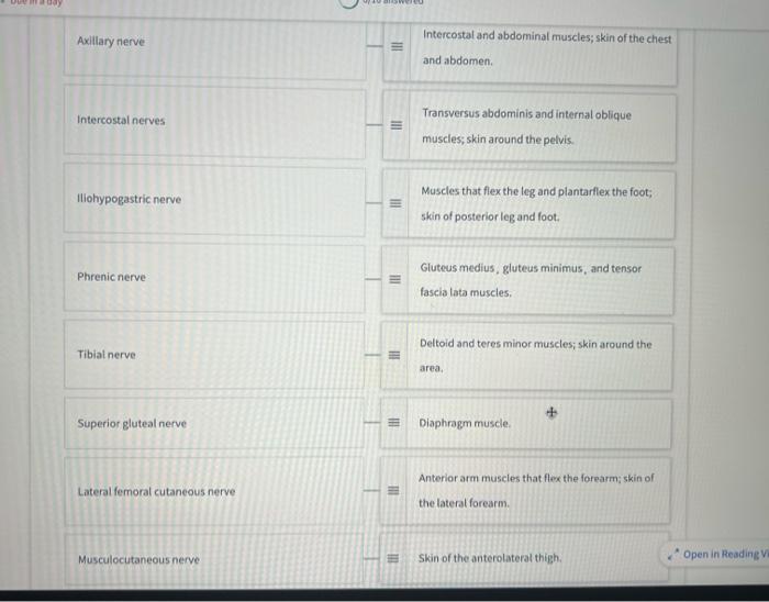 Solved Axillary nierve Intercostal and abdominal muscles; | Chegg.com