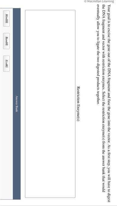 Two separate restriction enzyme maps are shown for a | Chegg.com