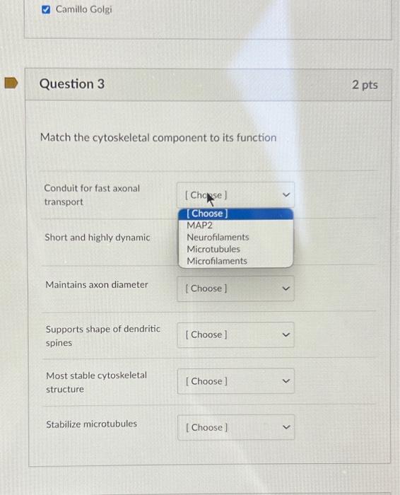 Solved Camillo Golgi Question 3 2 pts Match the cytoskeletal | Chegg.com
