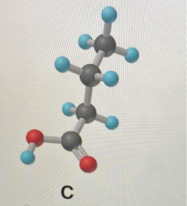 Solved ∴A. C3H7O2 B. C3H8O2 C. C4H8O2 D. C2H4O E. CH2O | Chegg.com