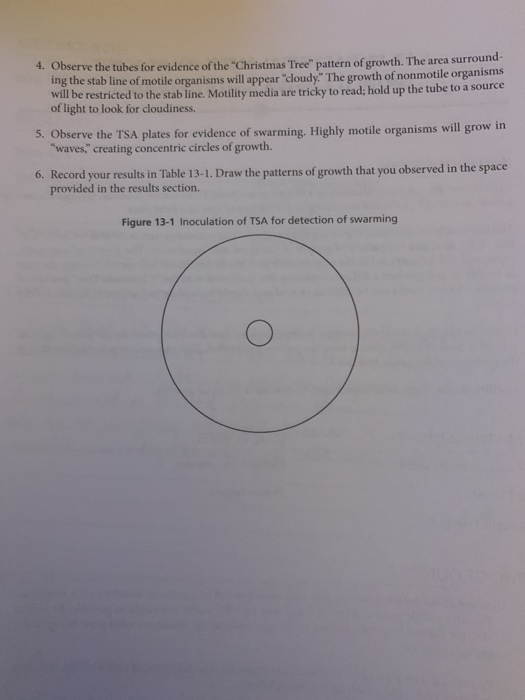 LAB 13: BACTERIAL MOTILITY STUDIES (MOTILITY MEDIA | Chegg.com