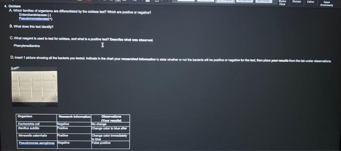 4. Oxidase Enlerbbectarisoses (-) 8. What does this | Chegg.com