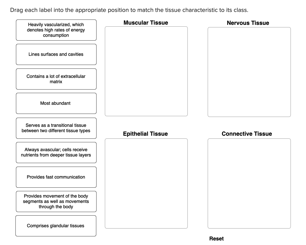 Solved Drag each label into the appropriate position to | Chegg.com