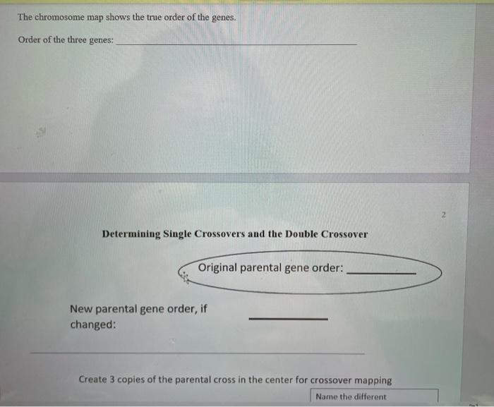 gene mapping and linkage ( blank worksheet except | Chegg.com