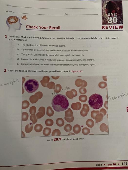 Solved Section Date UNIT 20 REVIEW Check Your Recall 1 | Chegg.com