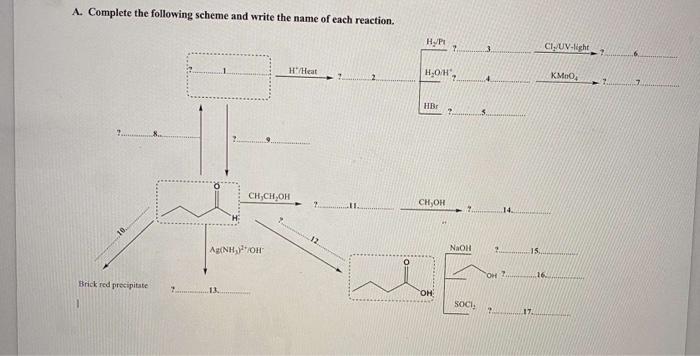 Solved A. Complete the following scheme and write the name | Chegg.com