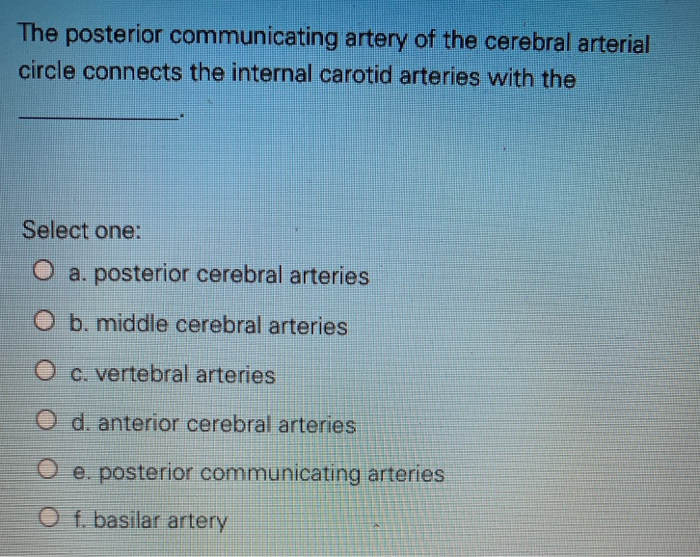Solved The posterior communicating artery of the cerebral | Chegg.com