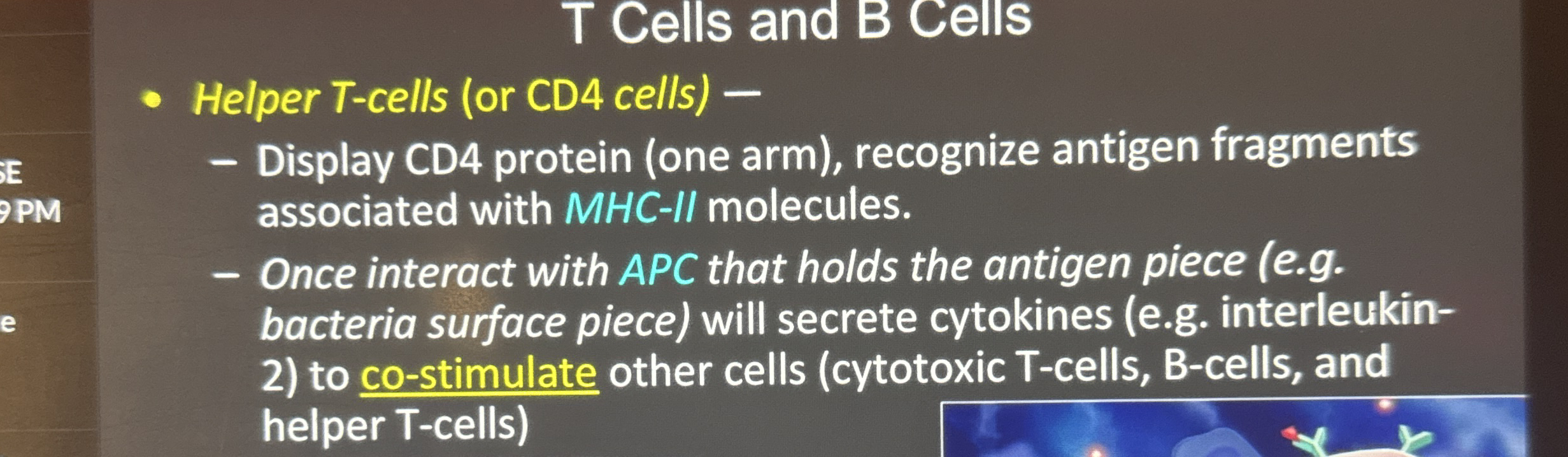 Solved T Cells and B CellsHelper T-cells (or CD4 | Chegg.com