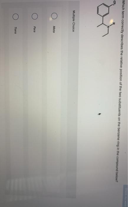 Solved Which term correctly describes the relative position | Chegg.com