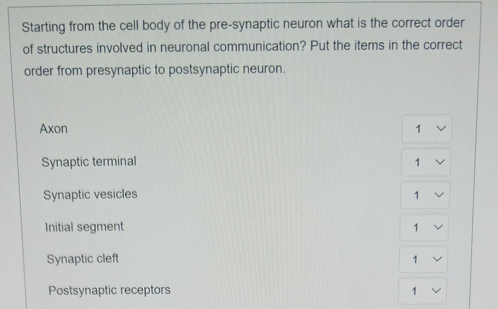 Solved Starting from the cell body of the pre-synaptic | Chegg.com
