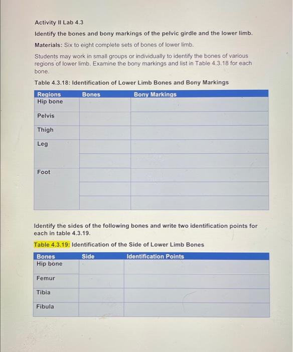 Solved Activity II Lab 4.3 Identify the bones and bony | Chegg.com
