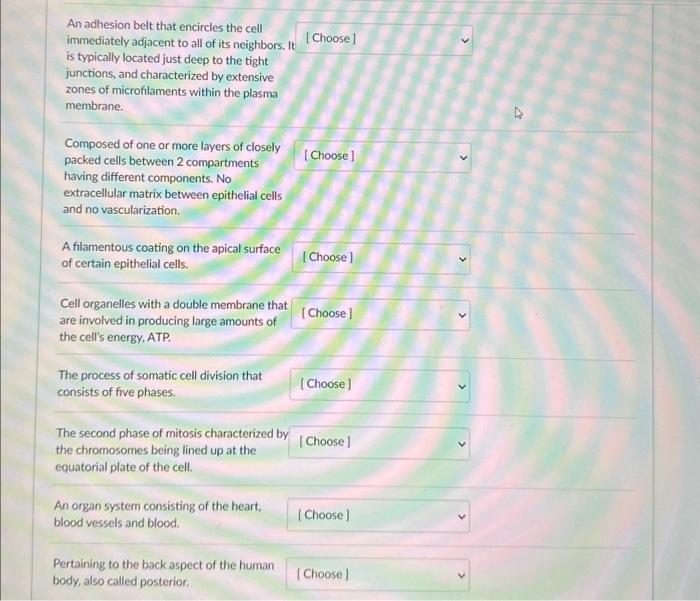 Solved An adhesion belt that encircles the cell immediately | Chegg.com