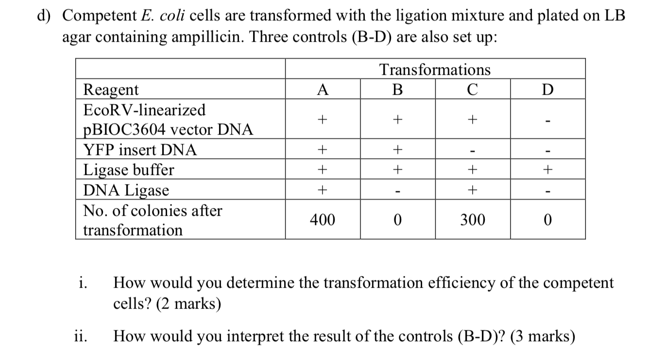 Solved d) ﻿Competent E. ﻿coli cells are transformed with the | Chegg.com