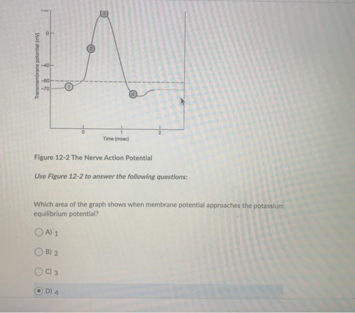 Solved i 우 Transmembrane potential (mv) -40 -60 - 70 Timo | Chegg.com