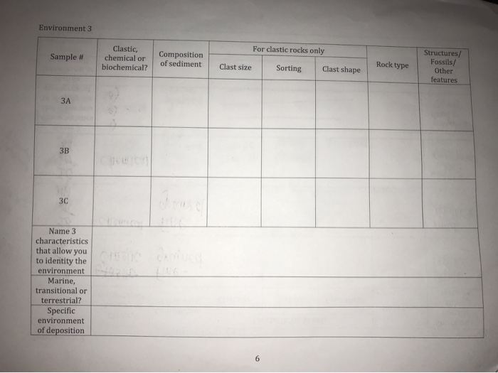 Solved Environment 1 chemical grained Clastic, For clastic | Chegg.com
