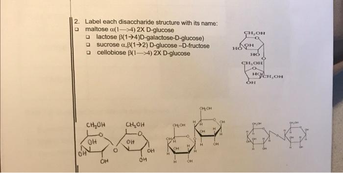 Solved 2. Label each disaccharide structure with its name: a | Chegg.com