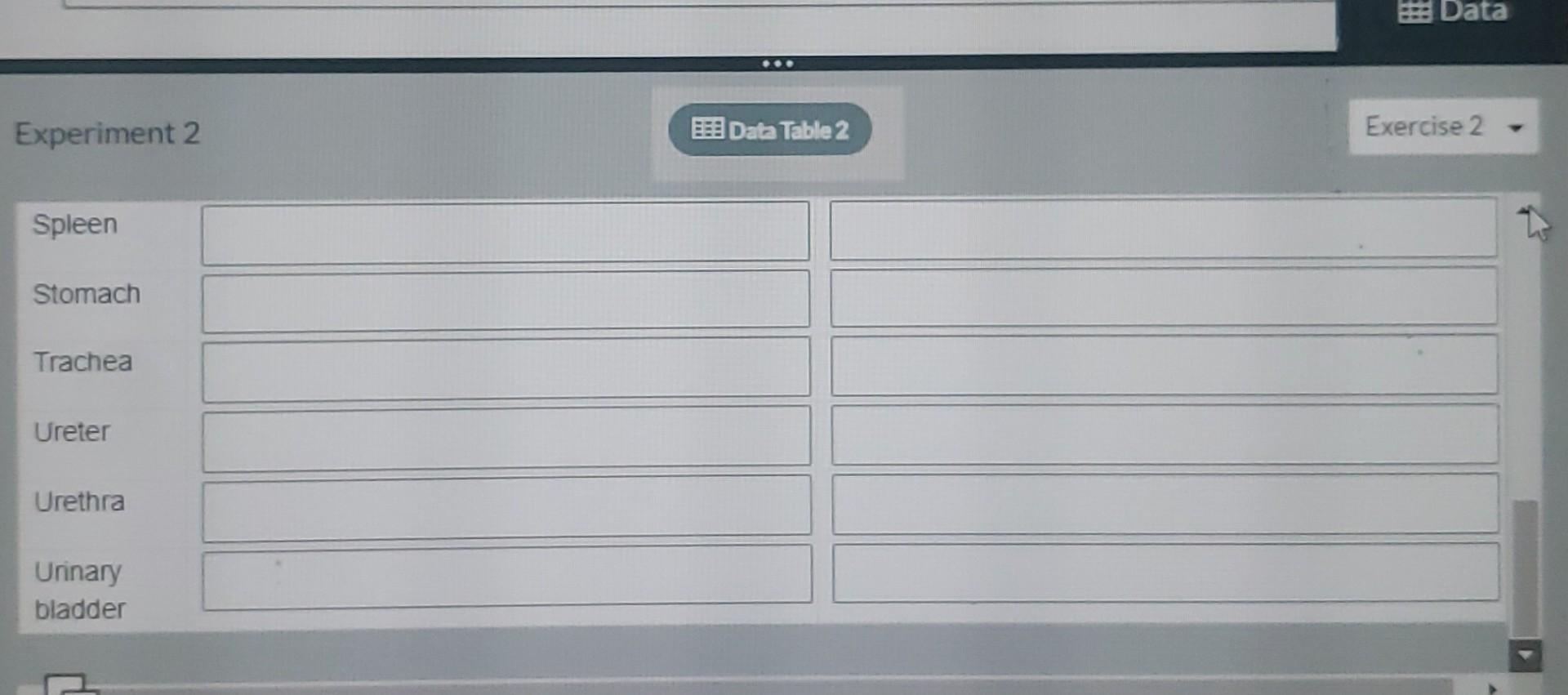 Data Table 2 Organs And Their Functions Experiment