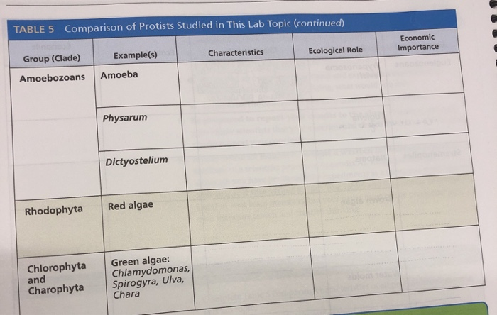 Solved TABLE 5 Comparison of Protists studied in This Lab | Chegg.com