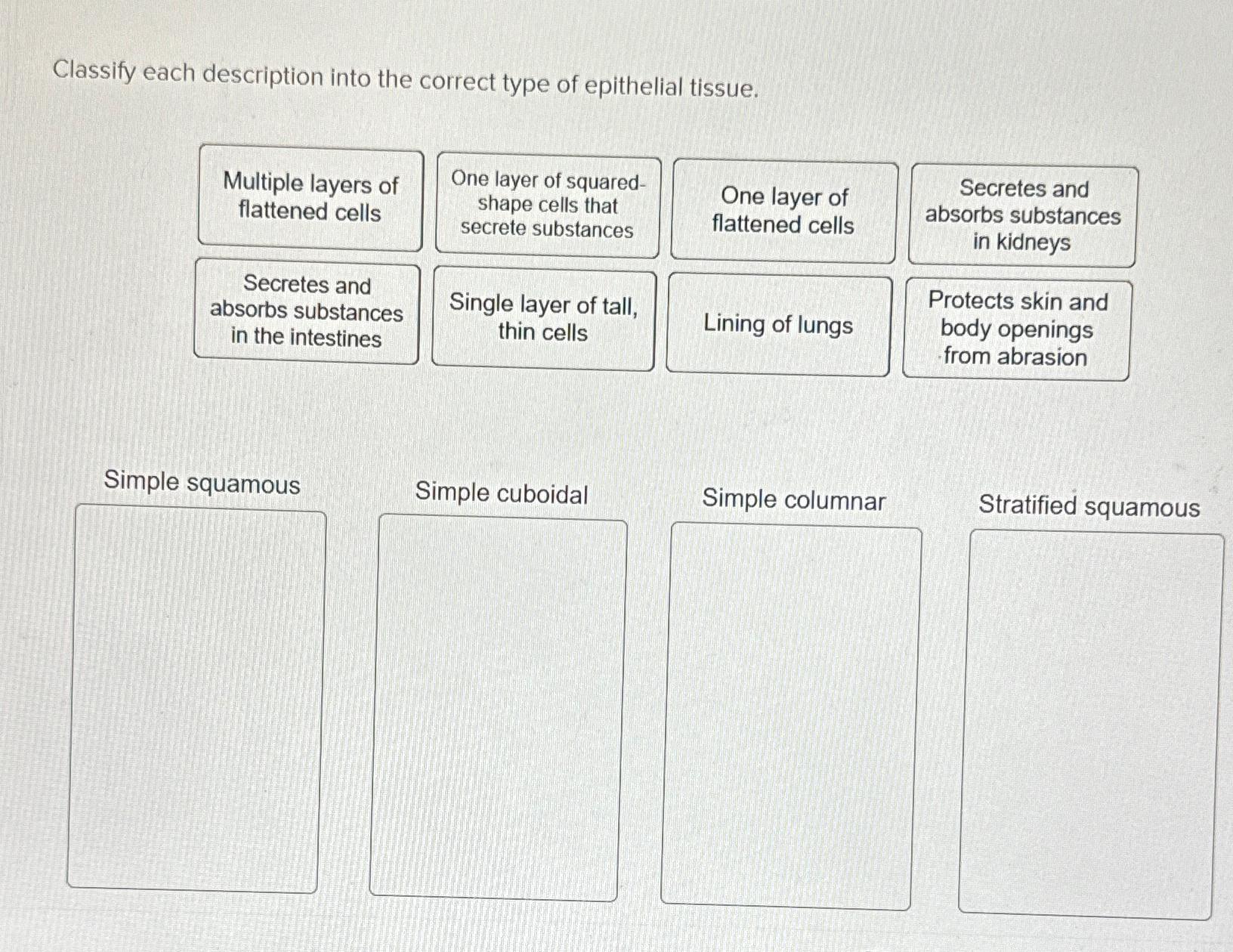 Solved Classify each description into the correct type of | Chegg.com