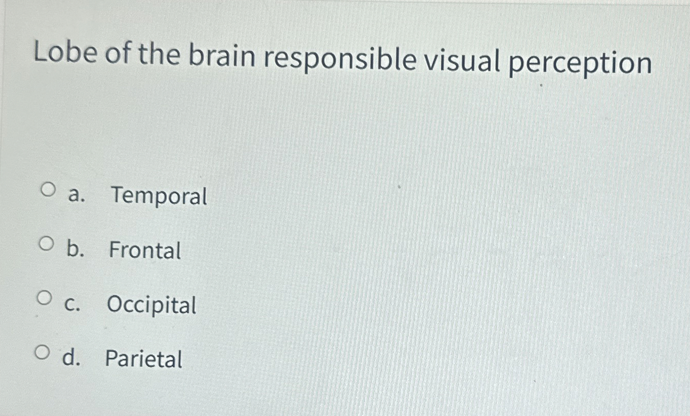Solved Lobe of the brain responsible visual perceptiona. | Chegg.com