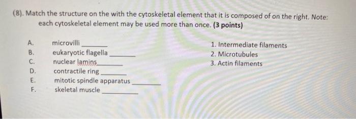 Solved (8). Match the structure on the with the cytoskeletal | Chegg.com