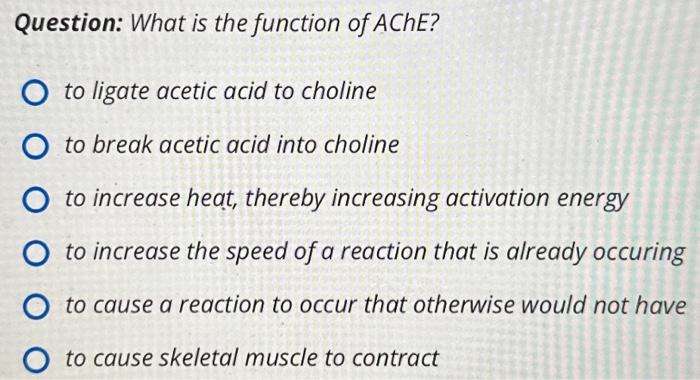 Solved Question: What is the function of AChE? to ligate | Chegg.com