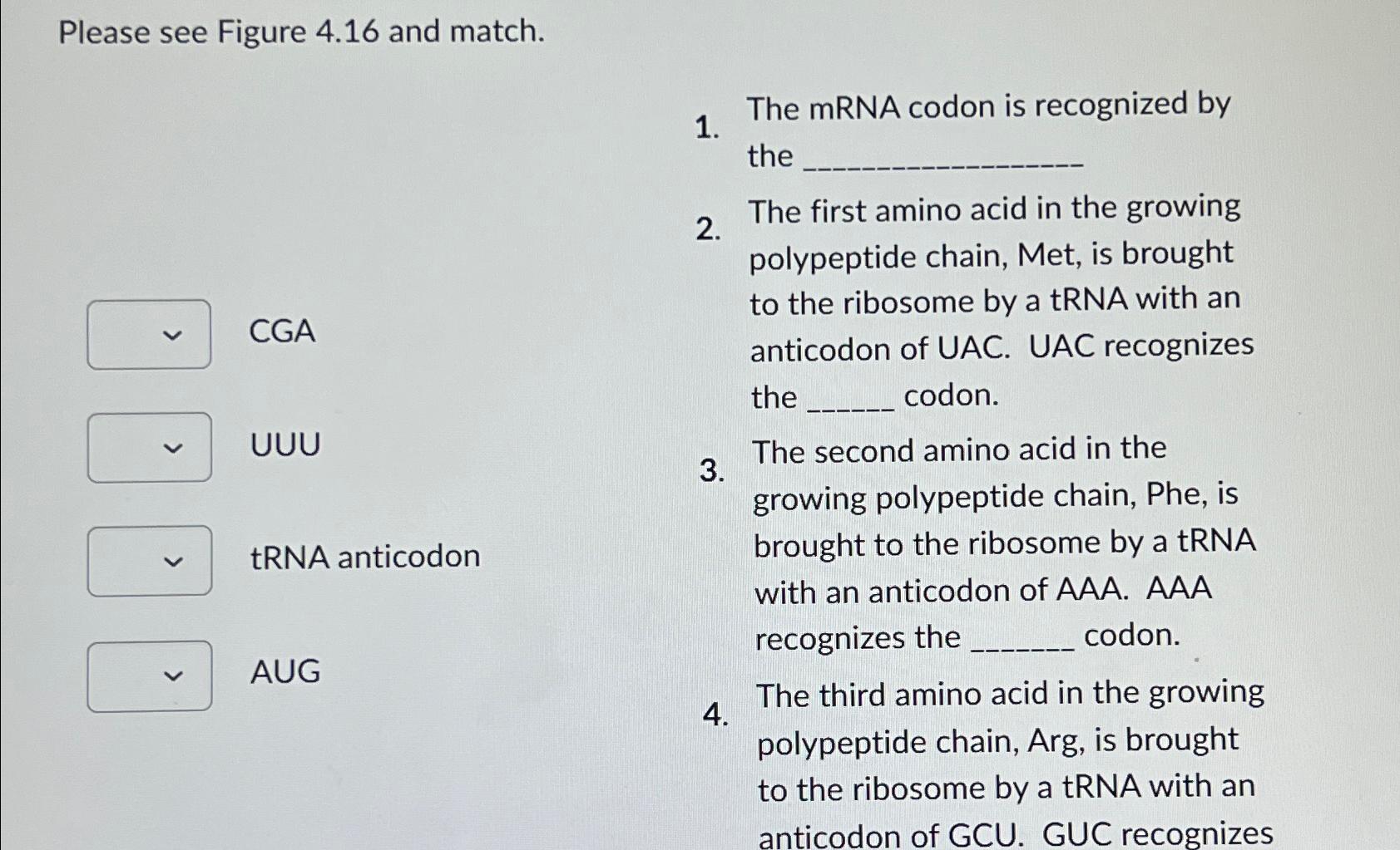 Solved Please see Figure 4.16 ﻿and match.The mRNA codon is | Chegg.com