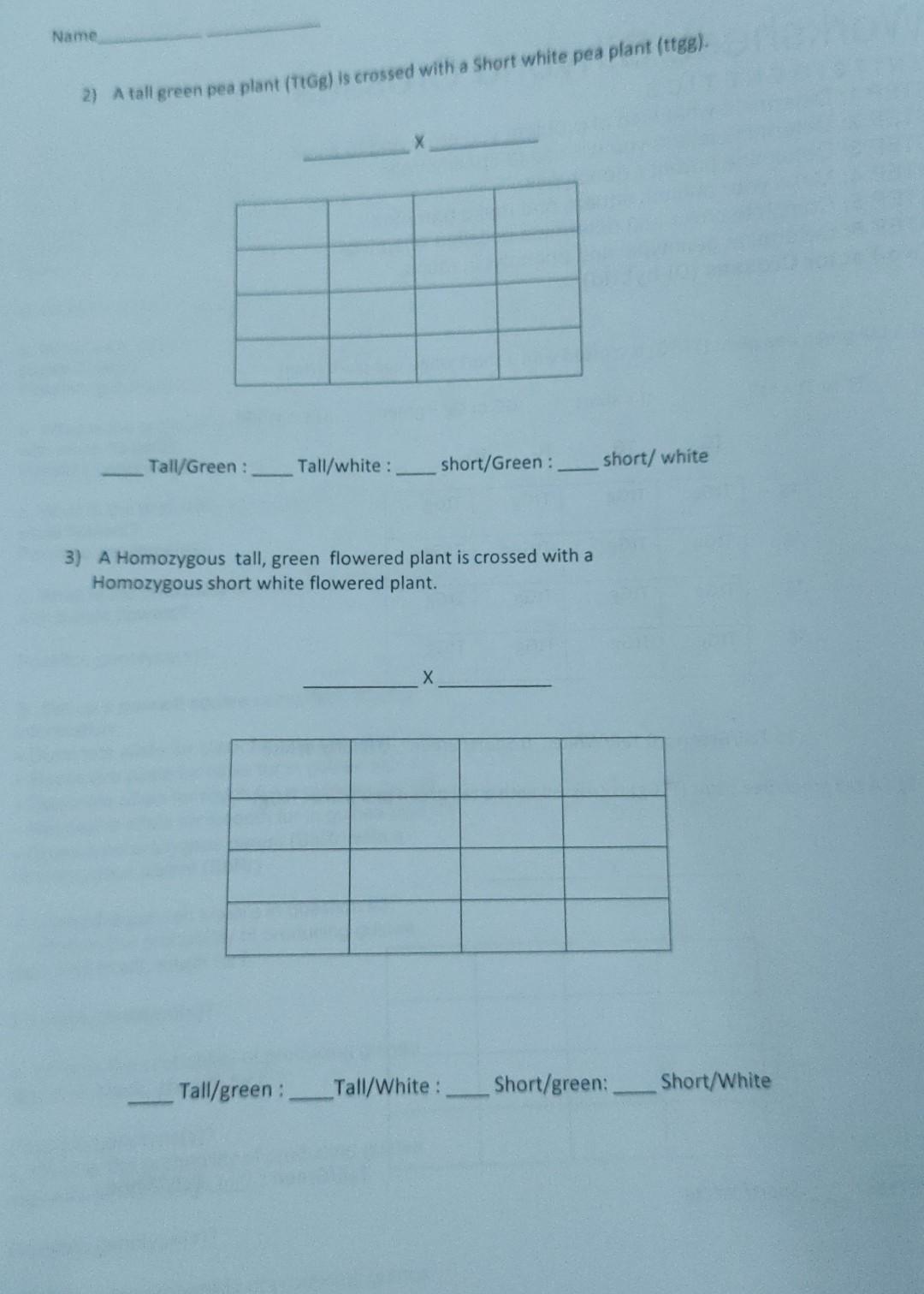 Worksheet: Dihybrid Crosses UNIT 3: GENETICS STEP 1: | Chegg.com