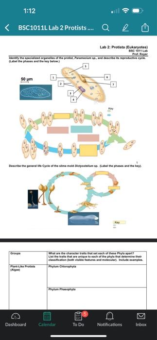 Solved Identify the specialized organelles of the protist, | Chegg.com