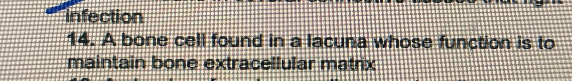 Solved infection14. ﻿A bone cell found in a lacuna whose | Chegg.com
