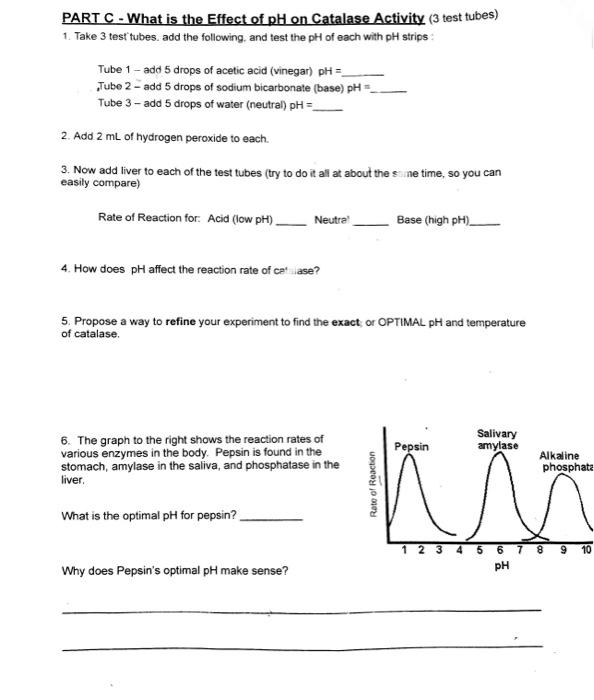 Solved PART C - What is the Effect of pH on Catalase | Chegg.com